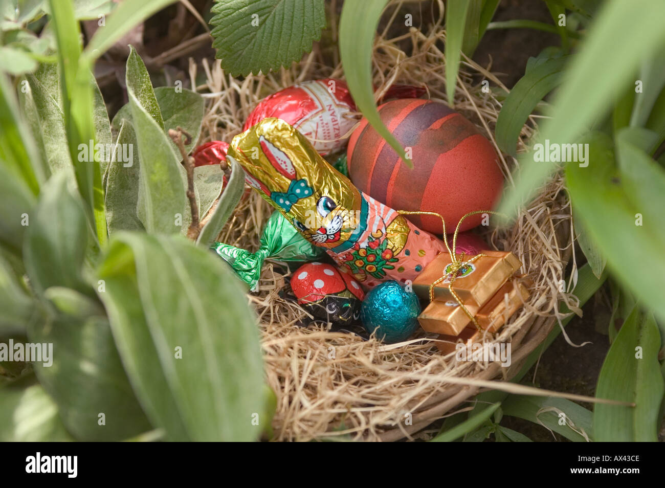 Verstecktes Osternest versteckt Osternest Stockfotografie - Alamy