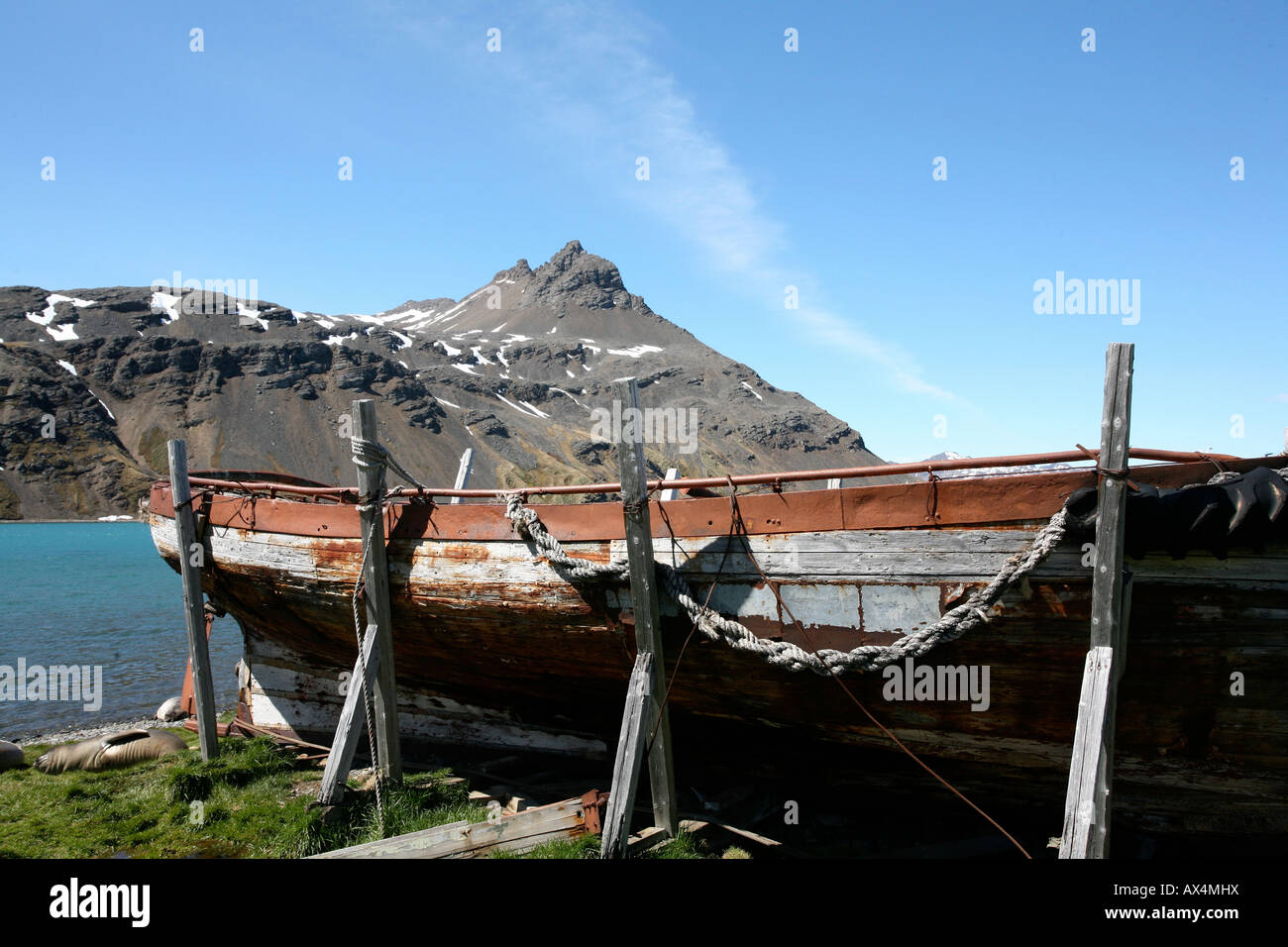 Walfang waljagd walfang -Fotos und -Bildmaterial in hoher Auflösung – Alamy