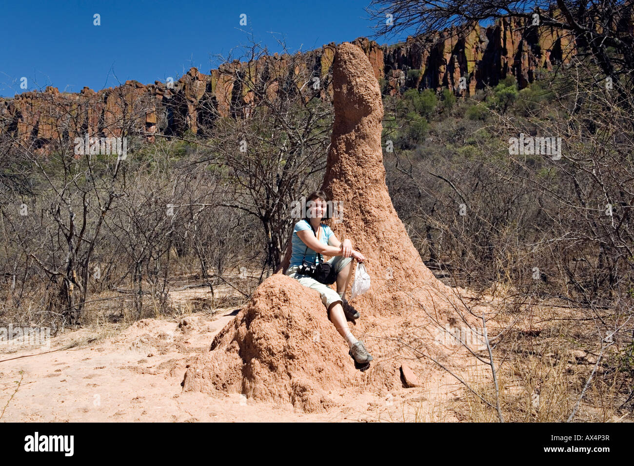 Termite heap -Fotos und -Bildmaterial in hoher Auflösung – Alamy