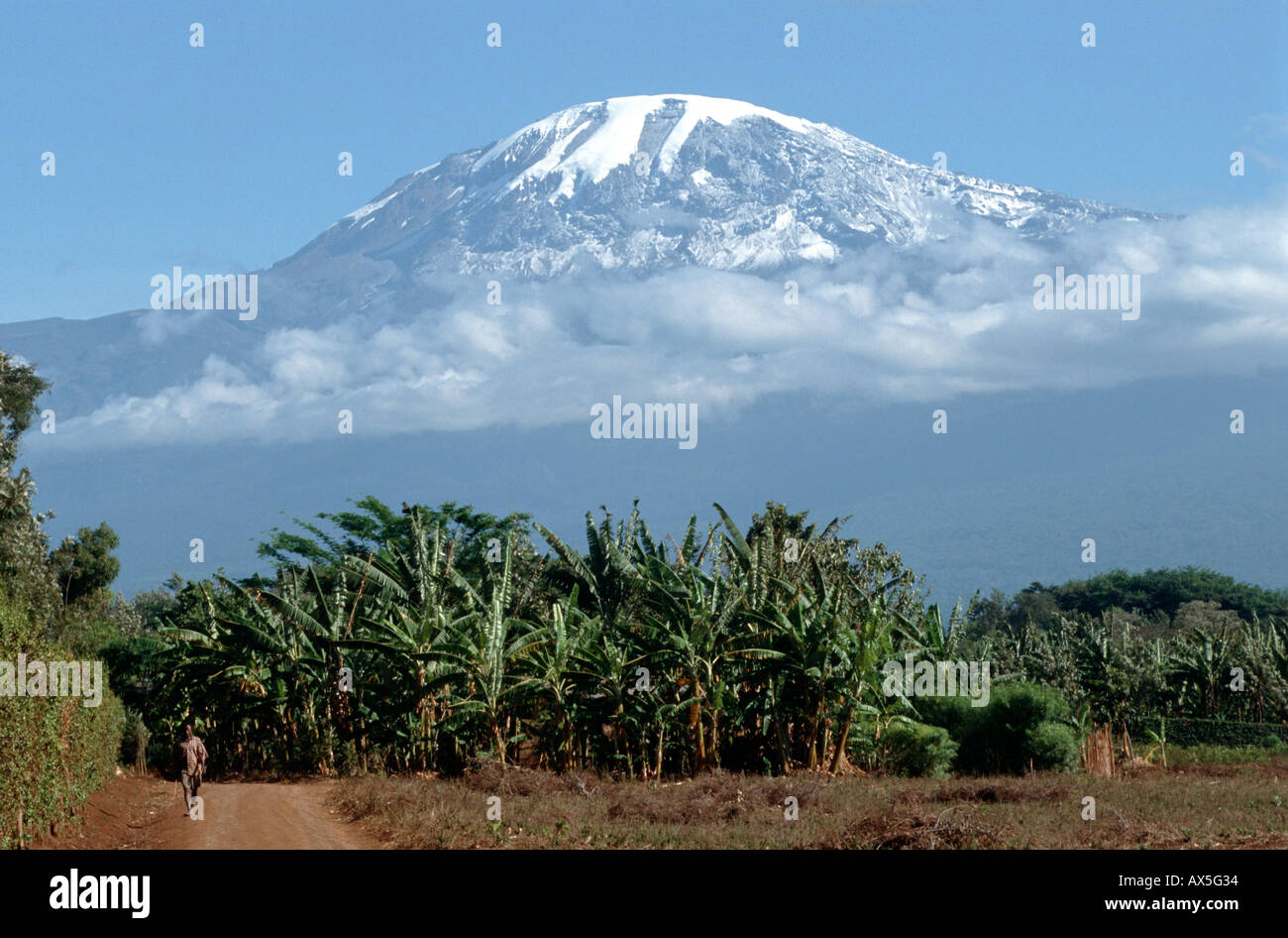 Mount Kilimanjaro Moshi Tanzania Africa Stockfotos und -bilder Kaufen ...