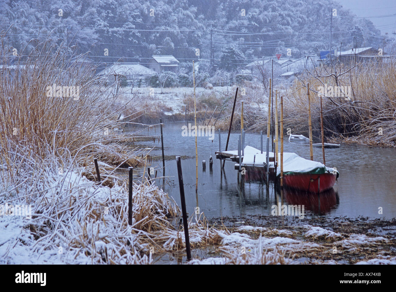 See shizen -Fotos und -Bildmaterial in hoher Auflösung – Alamy