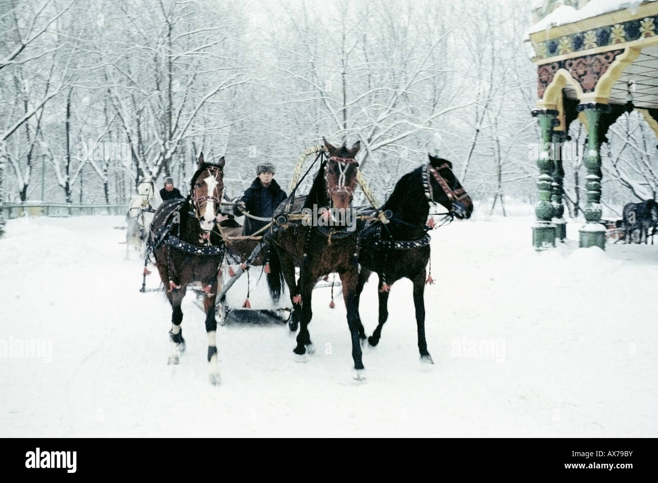 Pferde und troika -Fotos und -Bildmaterial in hoher Auflösung – Alamy