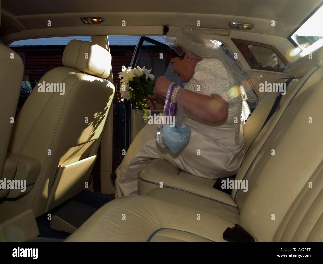 Velumptious braut -Fotos und -Bildmaterial in hoher Auflösung – Alamy