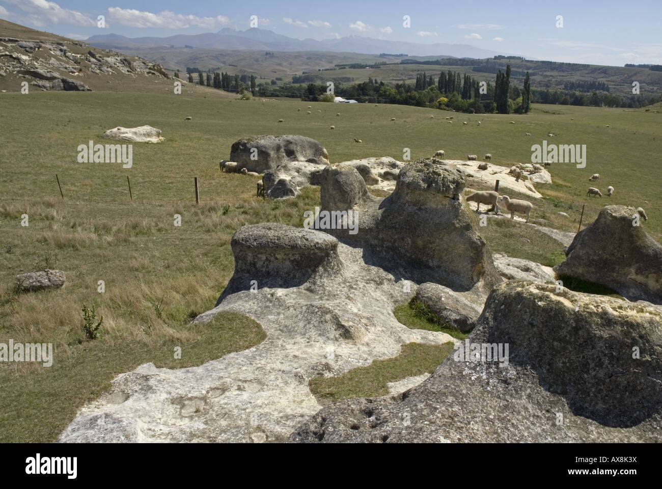 Chroniken von narnia aslan -Fotos und -Bildmaterial in hoher Auflösung ...