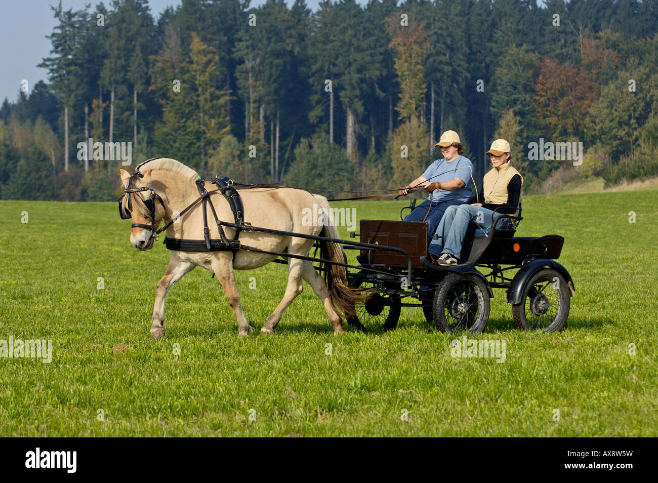 Pferd und Kutsche Stockfotos und -bilder Kaufen - Alamy
