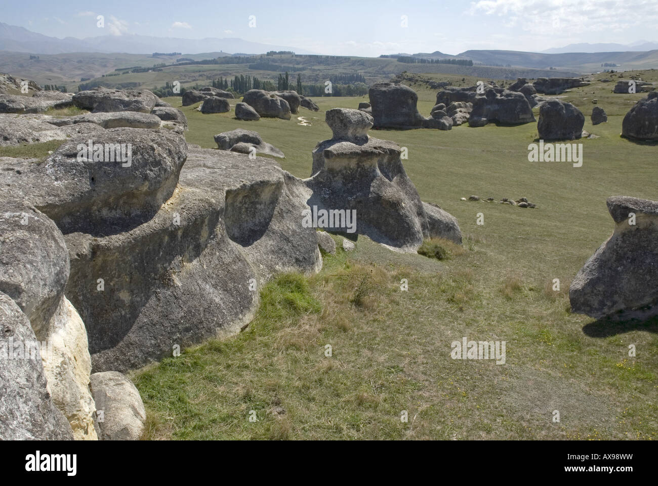 Chroniken von narnia aslan -Fotos und -Bildmaterial in hoher Auflösung ...