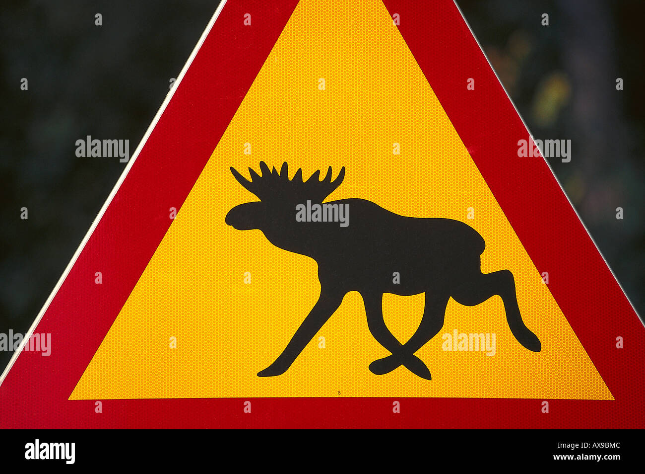 Schweden elch schild -Fotos und -Bildmaterial in hoher Auflösung – Alamy