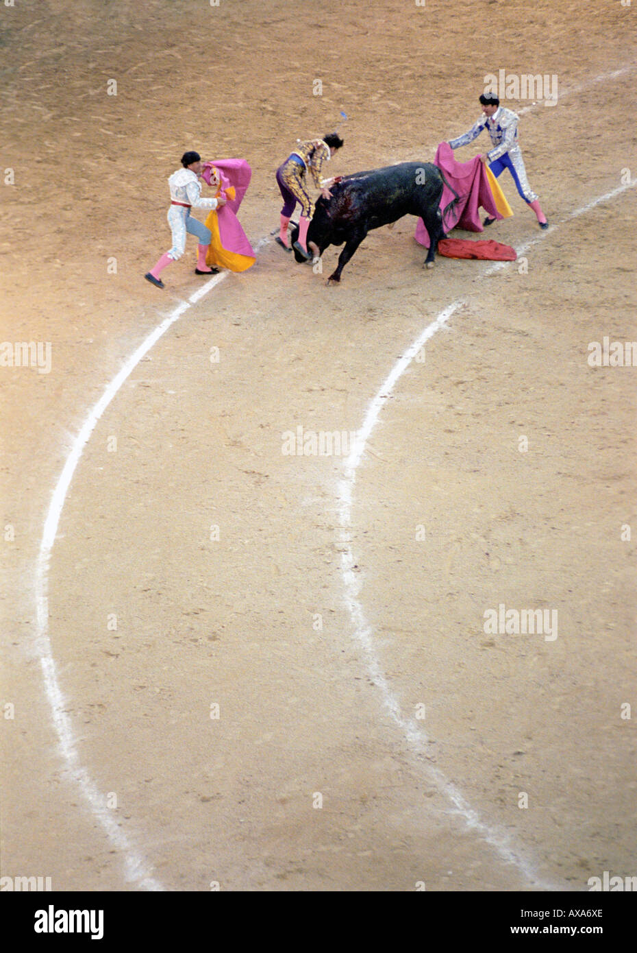 Historischer stierkampf -Fotos und -Bildmaterial in hoher Auflösung – Alamy