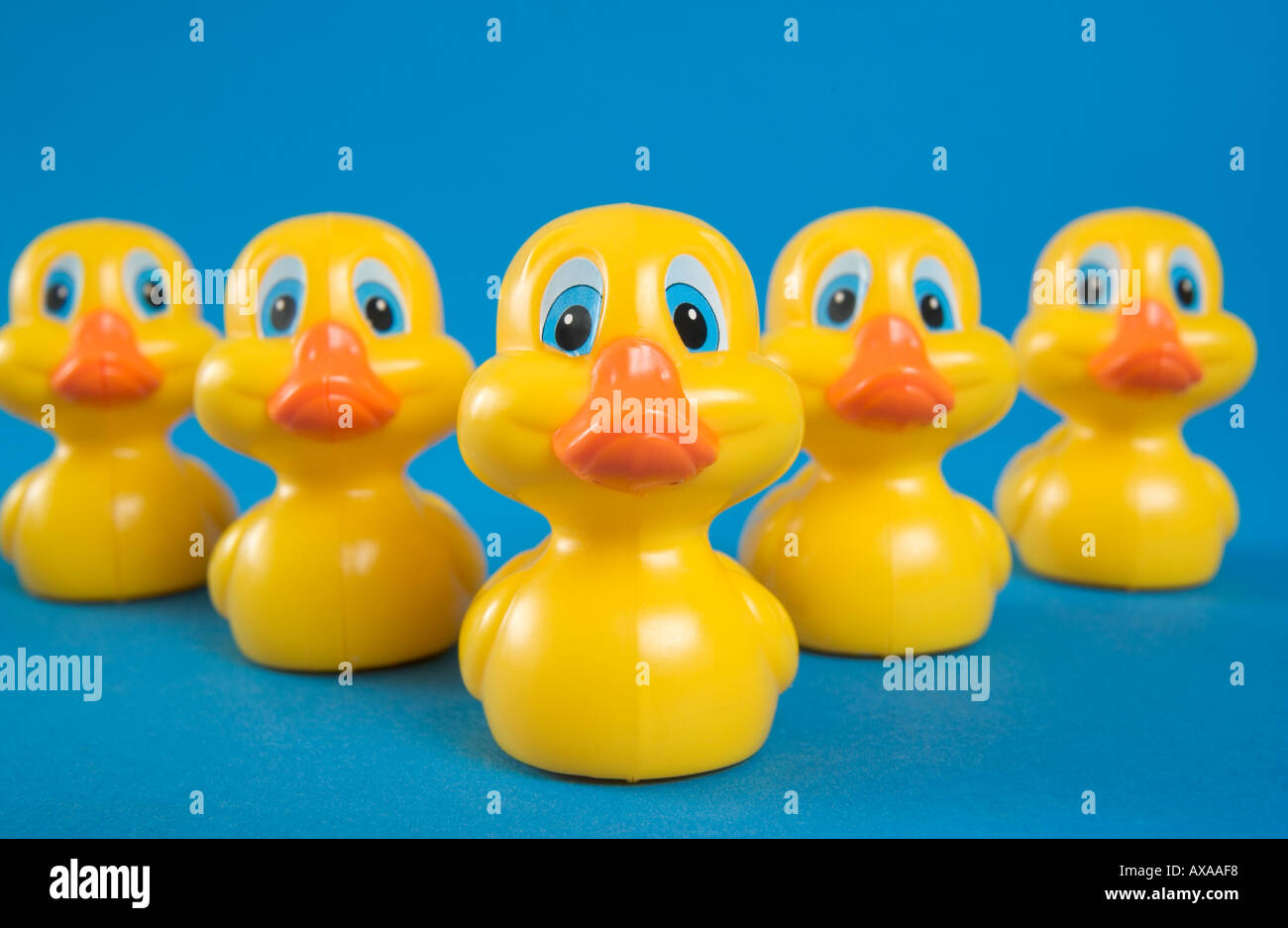 Badewanne enten -Fotos und -Bildmaterial in hoher Auflösung – Alamy