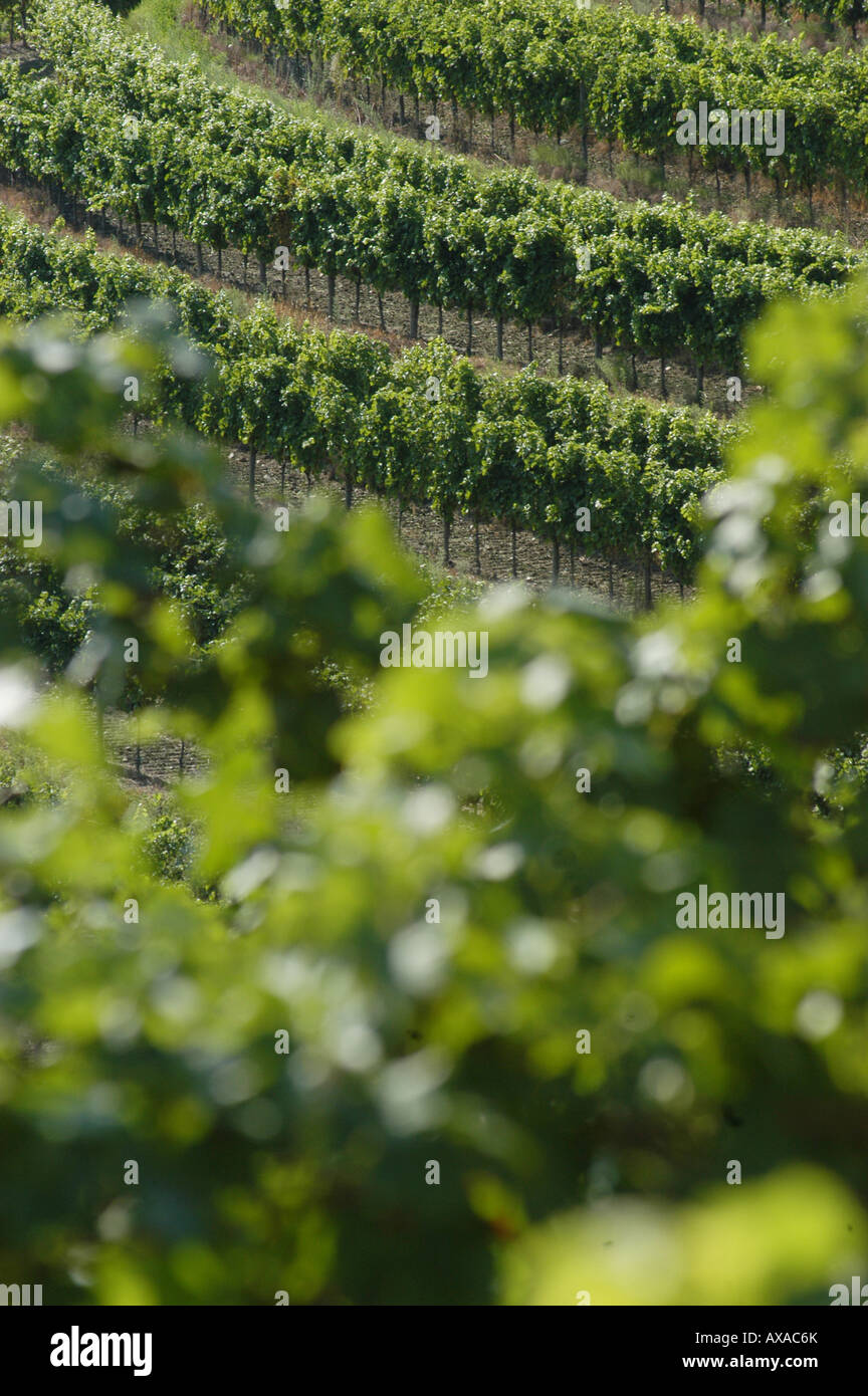 Rocca Bernarda Stockfotos und -bilder Kaufen - Alamy