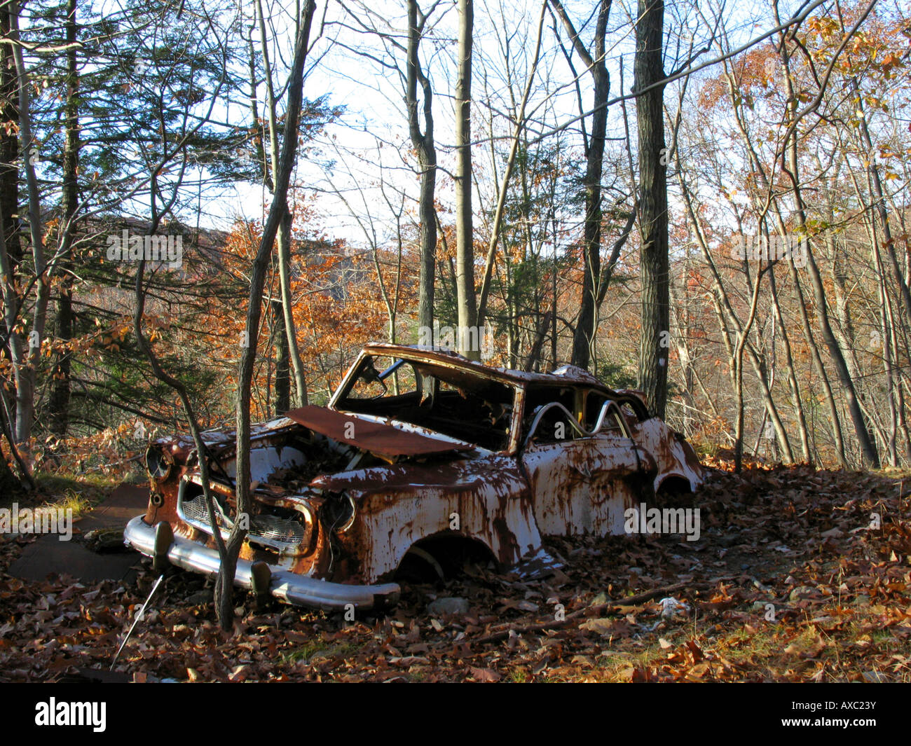 Autowrack im wald -Fotos und -Bildmaterial in hoher Auflösung - Seite 2 ...