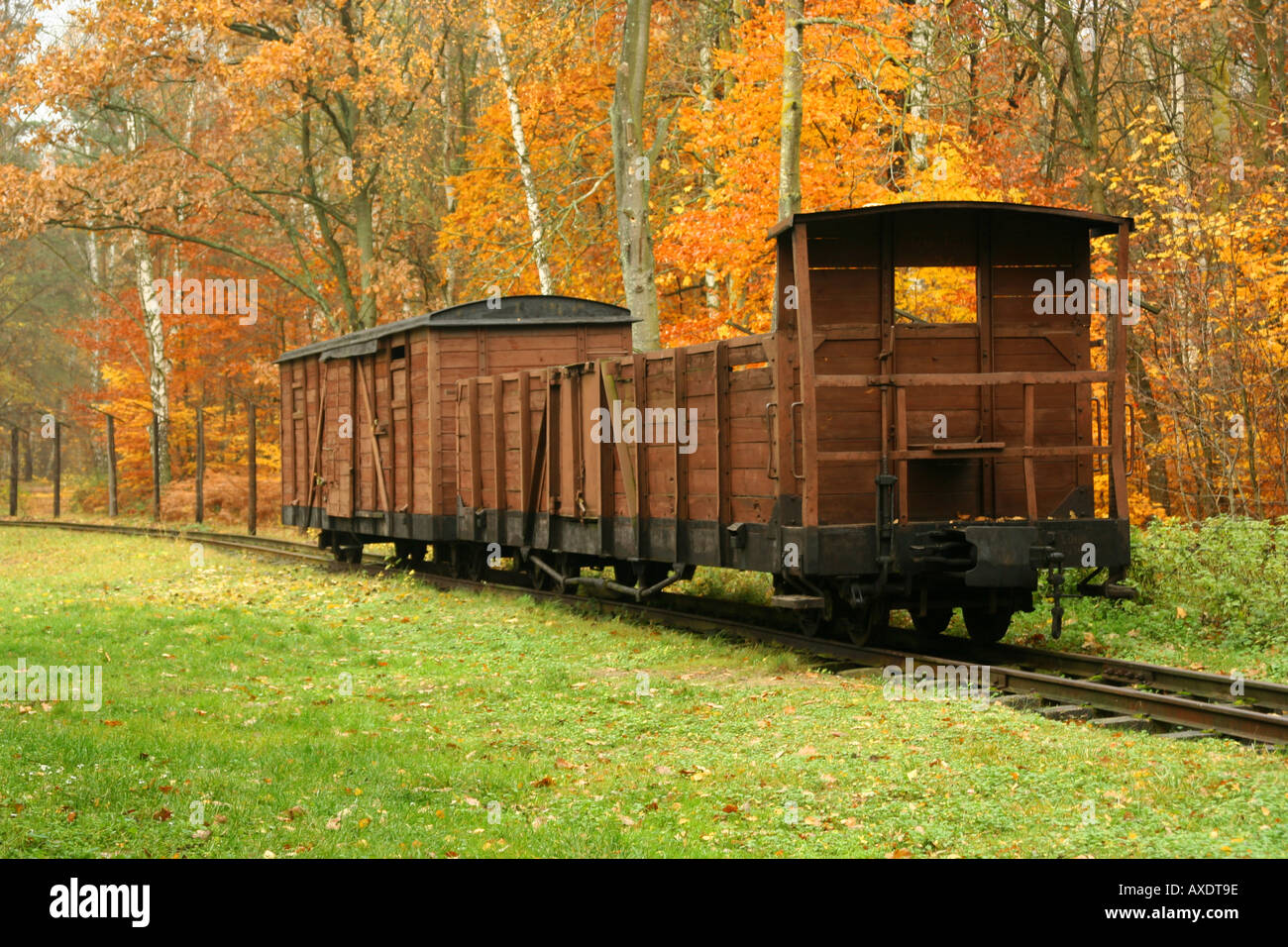 Arische rasse -Fotos und -Bildmaterial in hoher Auflösung – Alamy