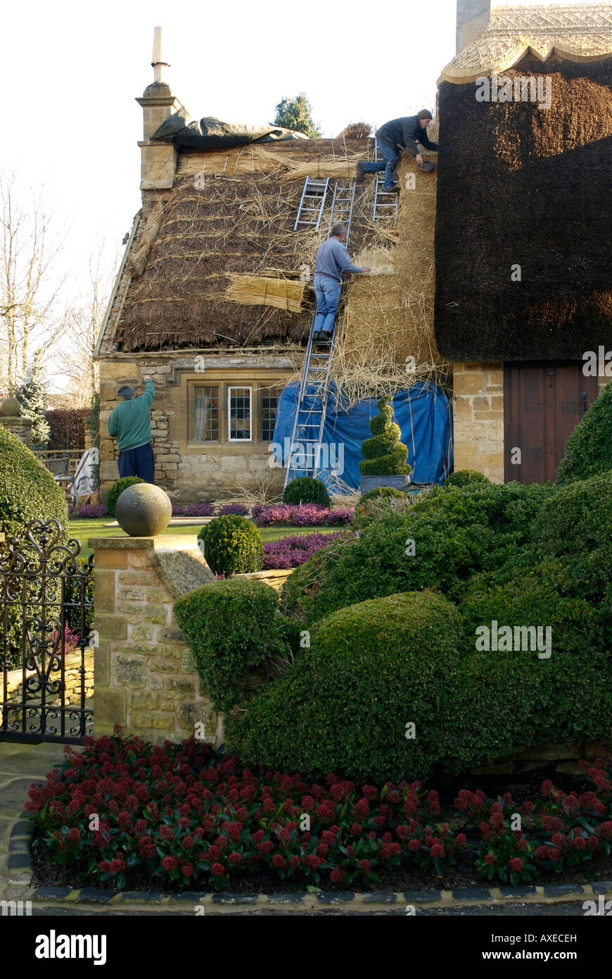 Thatch roofing -Fotos und -Bildmaterial in hoher Auflösung – Alamy