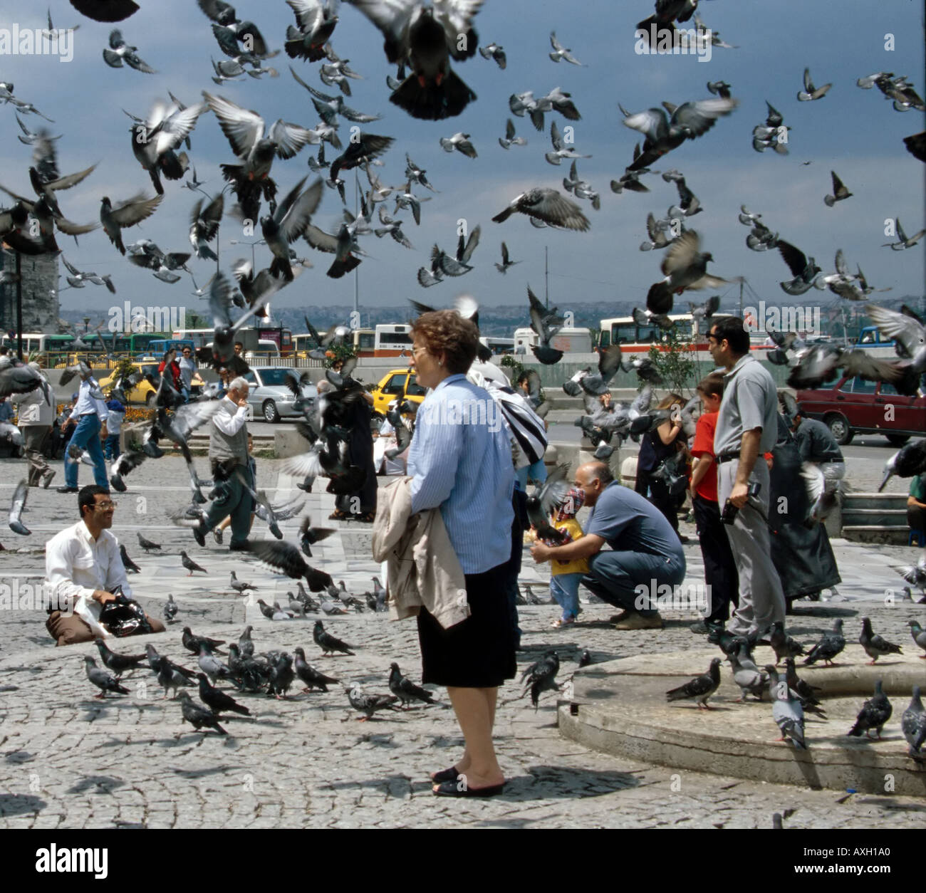 Taube und menschen -Fotos und -Bildmaterial in hoher Auflösung – Alamy