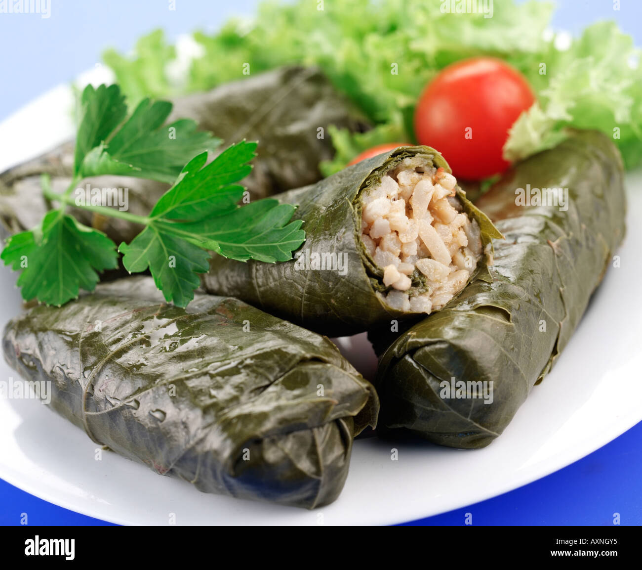 GRIECHISCHEN DOLMADES Stockfotografie - Alamy
