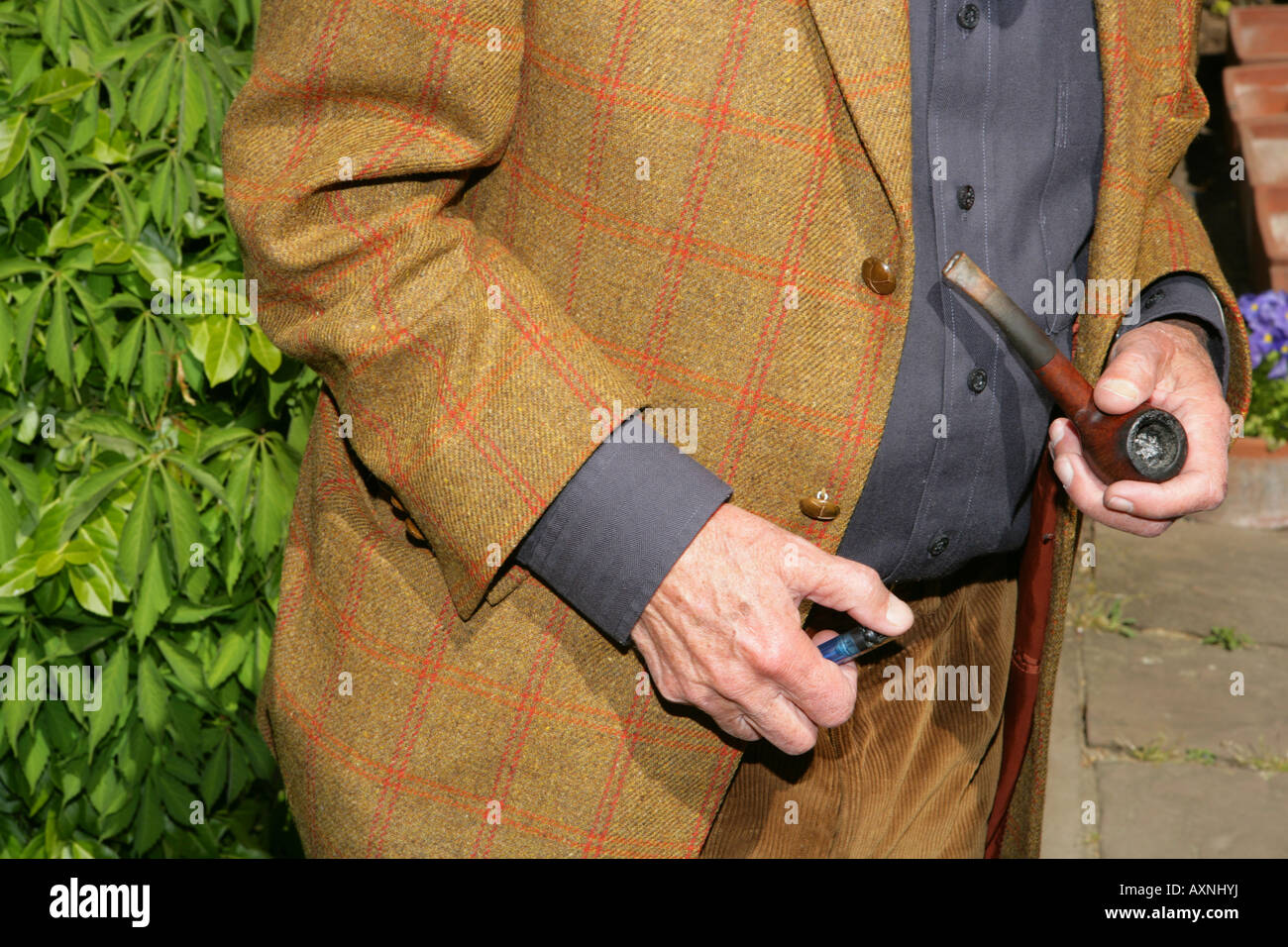 Guenter Grass Schriftsteller mit seiner Pfeife Stockfotografie - Alamy