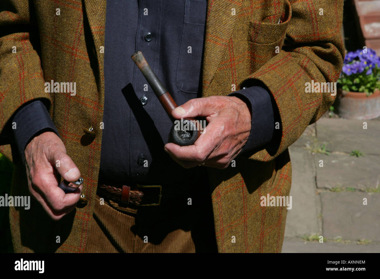 Guenter Grass Schriftsteller mit seiner Pfeife Stockfotografie - Alamy