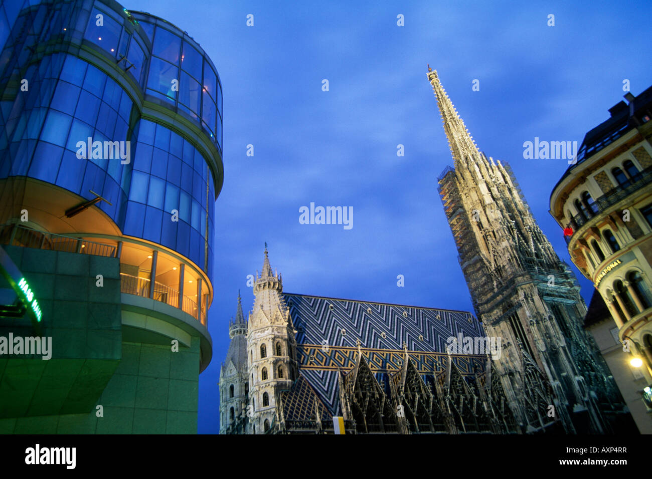 Der Stephansdom, Wien, Österreich Stockfotografie - Alamy