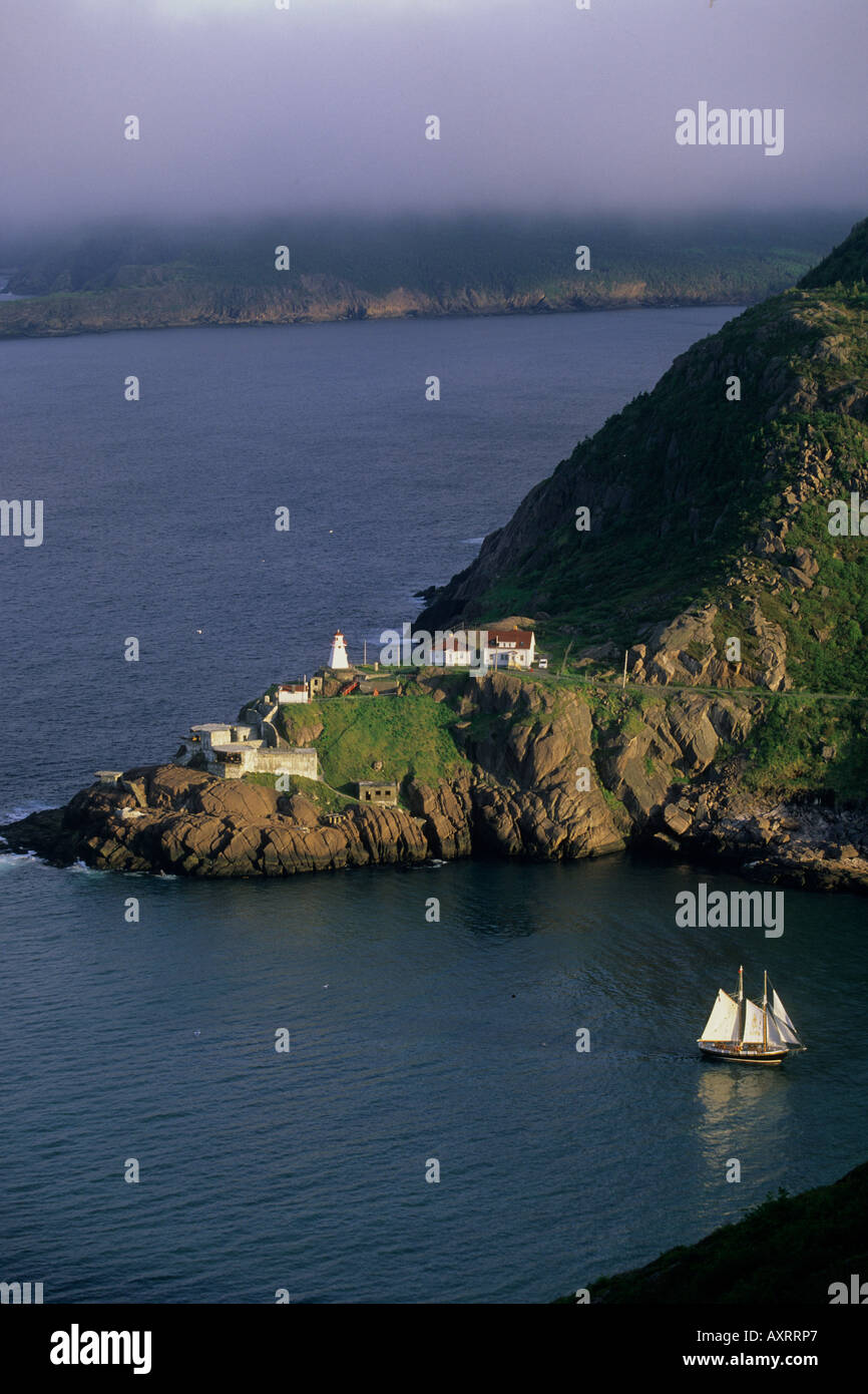 Die Narrows, St. John's, Neufundland und Labrador, Kanada ...