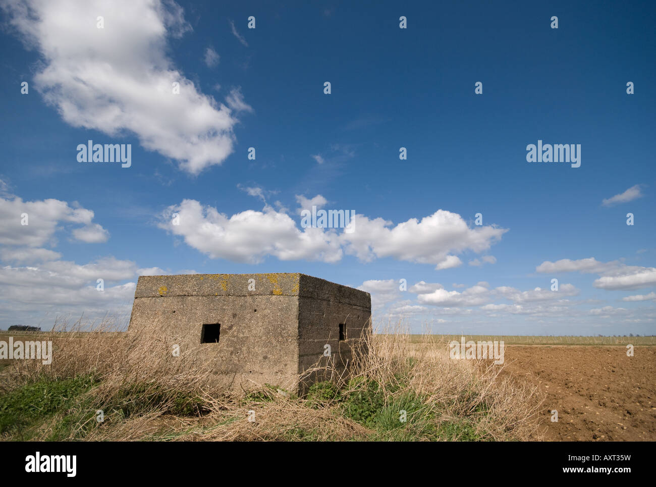 Raf wellingore -Fotos und -Bildmaterial in hoher Auflösung – Alamy