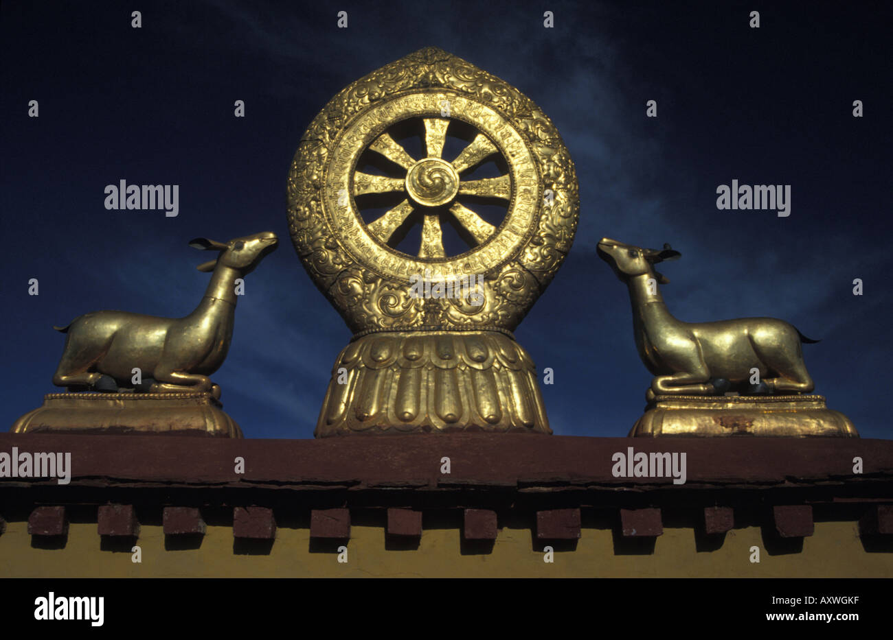 Lehre des dharma rades -Fotos und -Bildmaterial in hoher Auflösung – Alamy