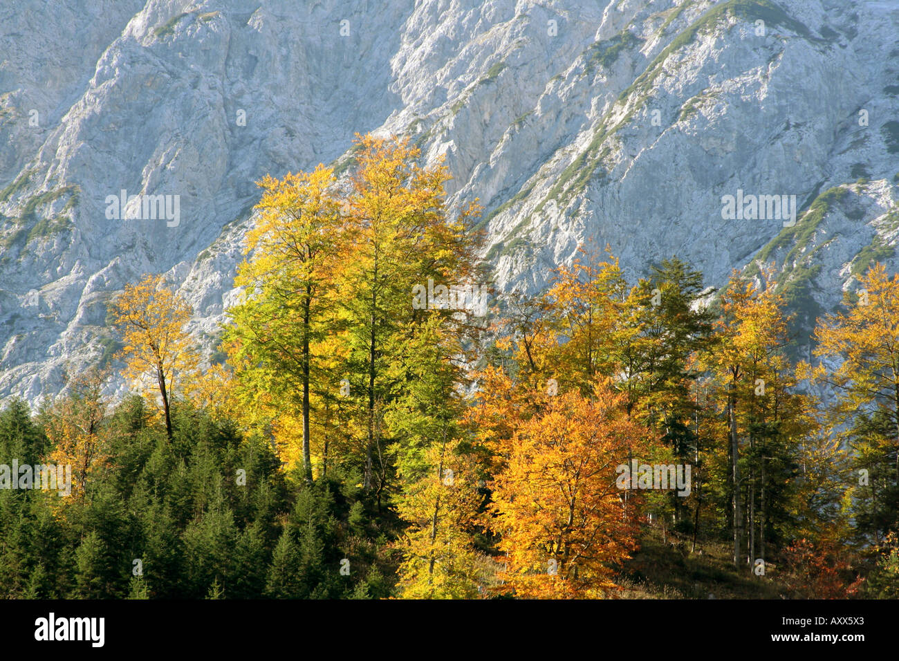 Alpenwelt karwendel -Fotos und -Bildmaterial in hoher Auflösung – Alamy
