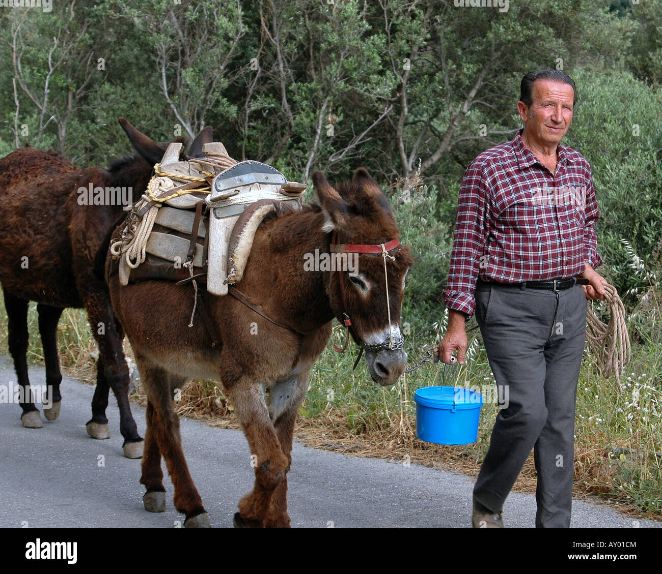 Mann und sein esel -Fotos und -Bildmaterial in hoher Auflösung – Alamy