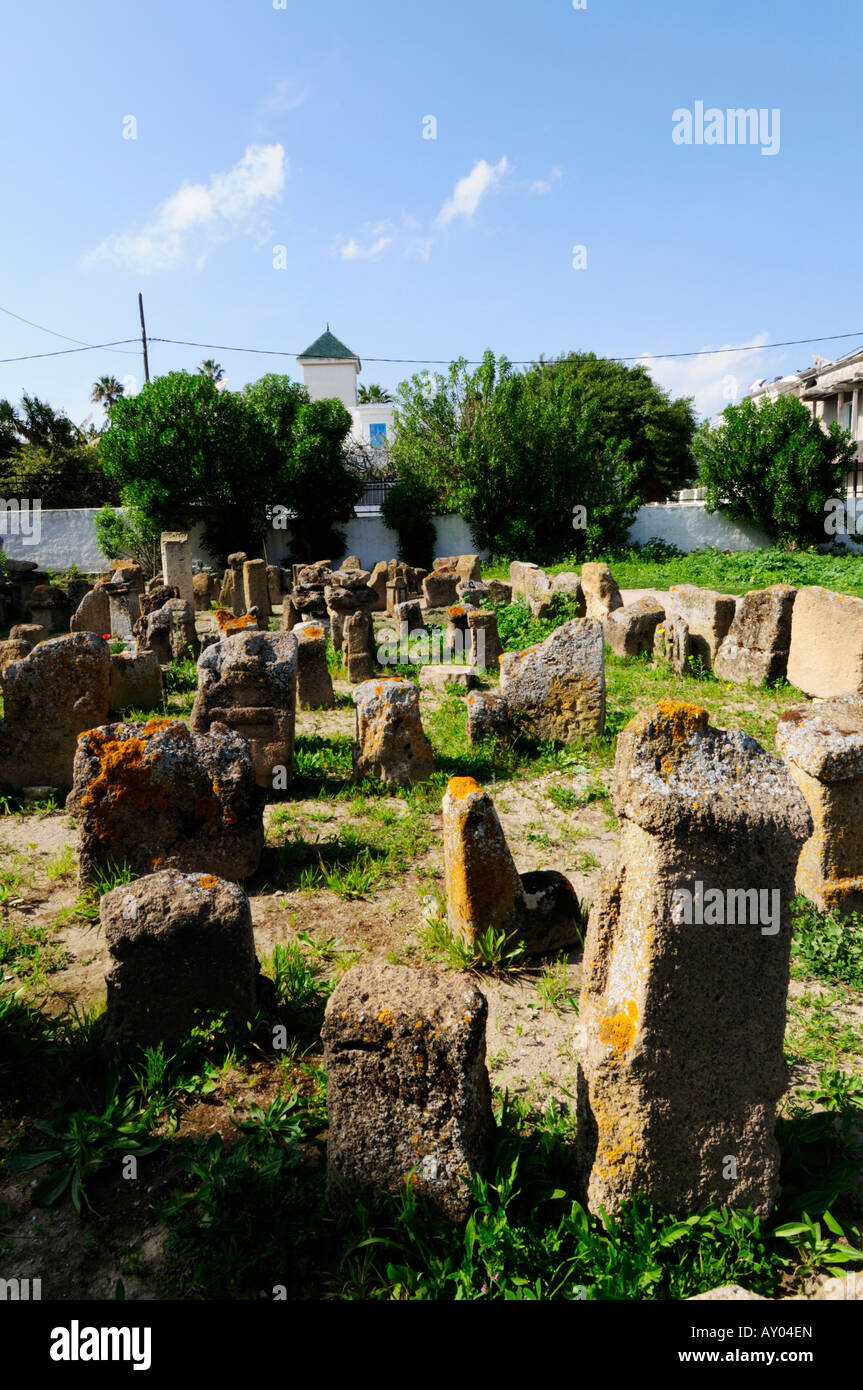 Altes karthago -Fotos und -Bildmaterial in hoher Auflösung – Alamy