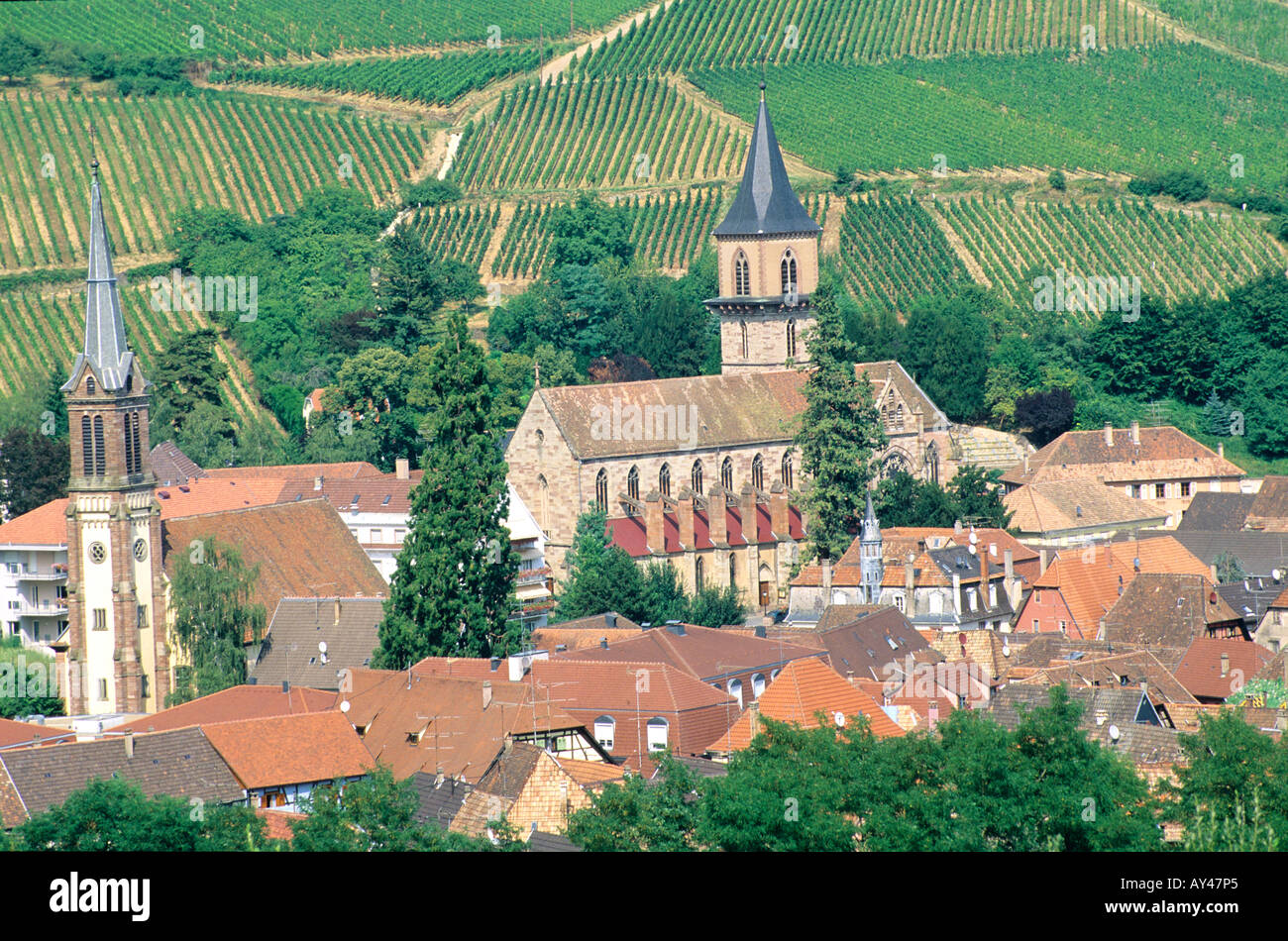 Frankreich-Elsass-Route des Vins Ribeauvillé Stockfotografie - Alamy