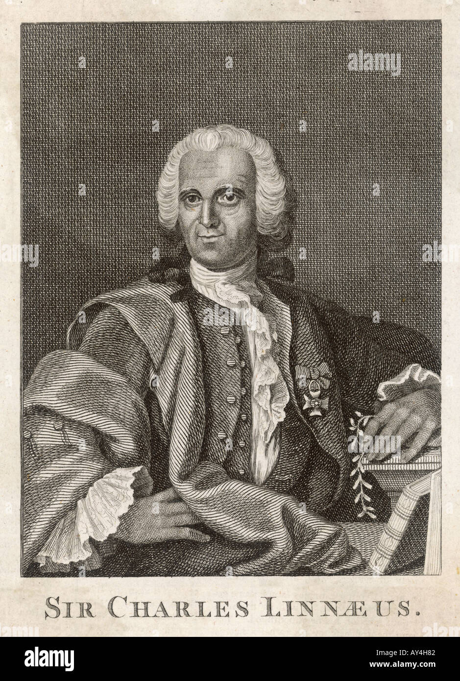 Carl linnaeus carl von linne schwedischer botaniker -Fotos und ...
