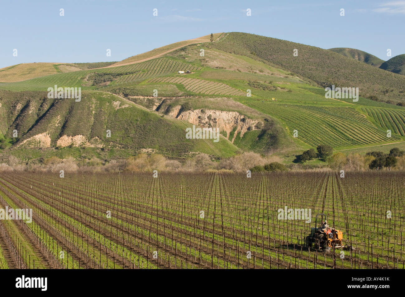 Meer rauch -Fotos und -Bildmaterial in hoher Auflösung – Alamy