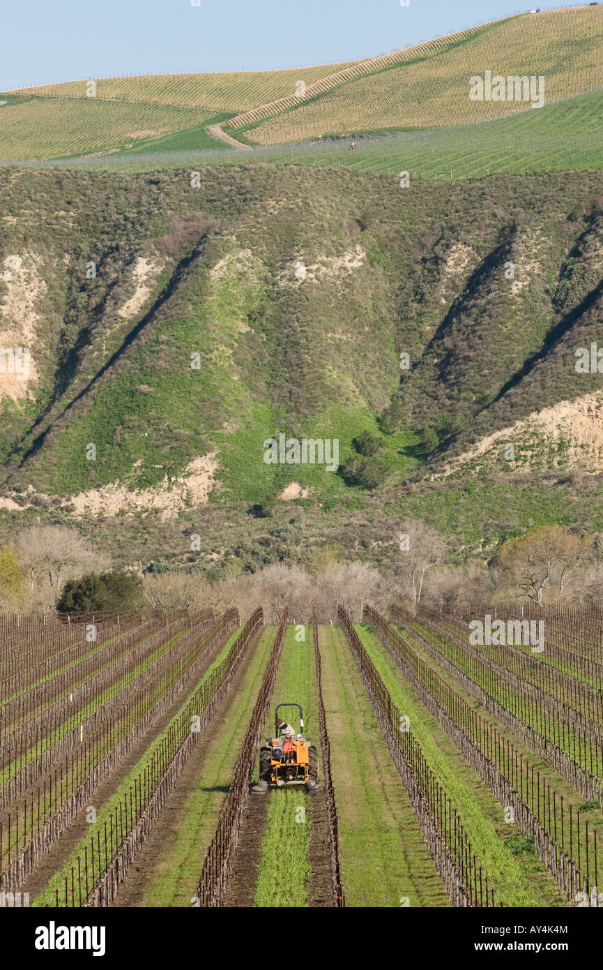Meer rauch -Fotos und -Bildmaterial in hoher Auflösung – Alamy