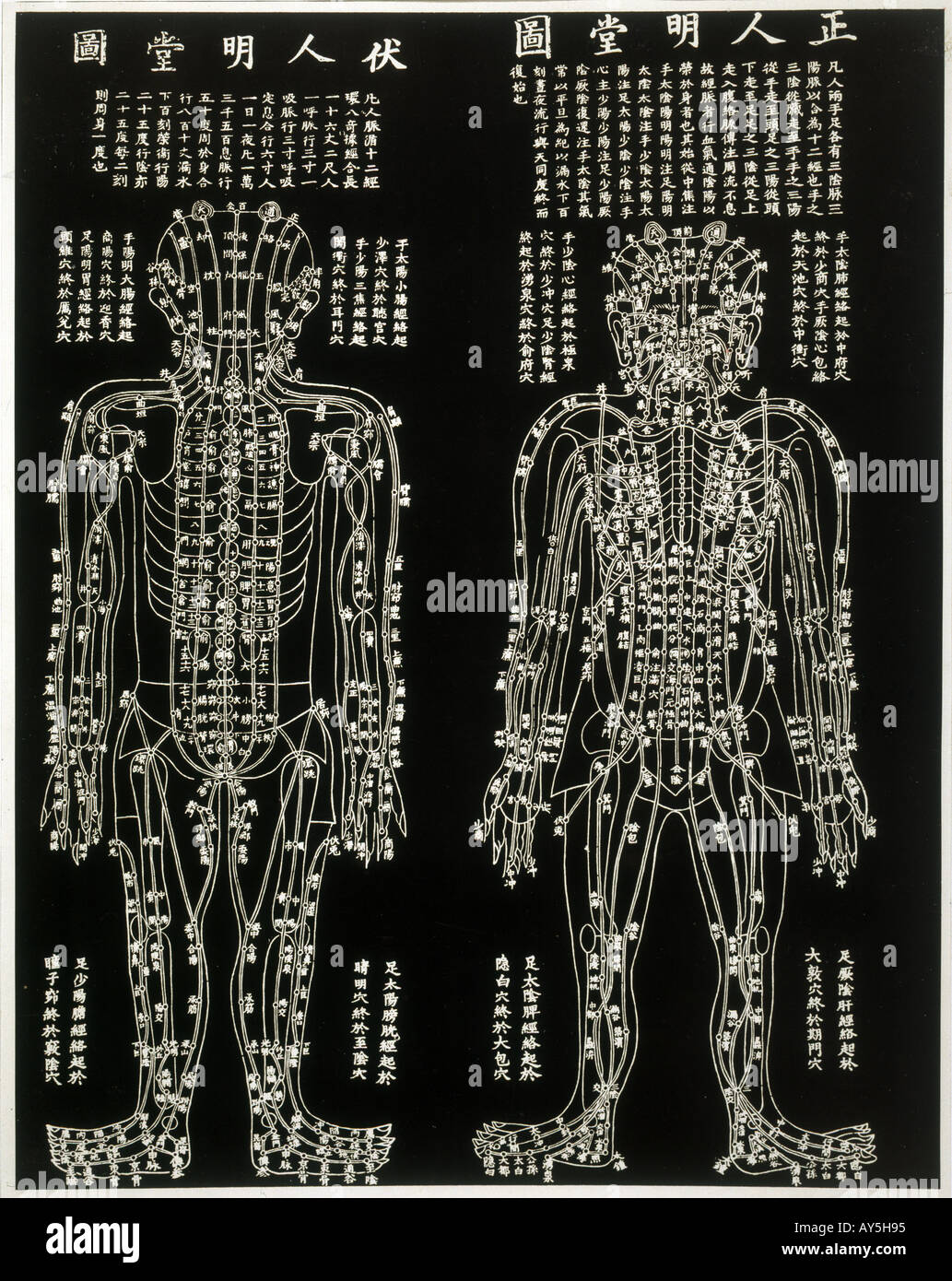 Chinese acupuncture chart -Fotos und -Bildmaterial in hoher Auflösung ...