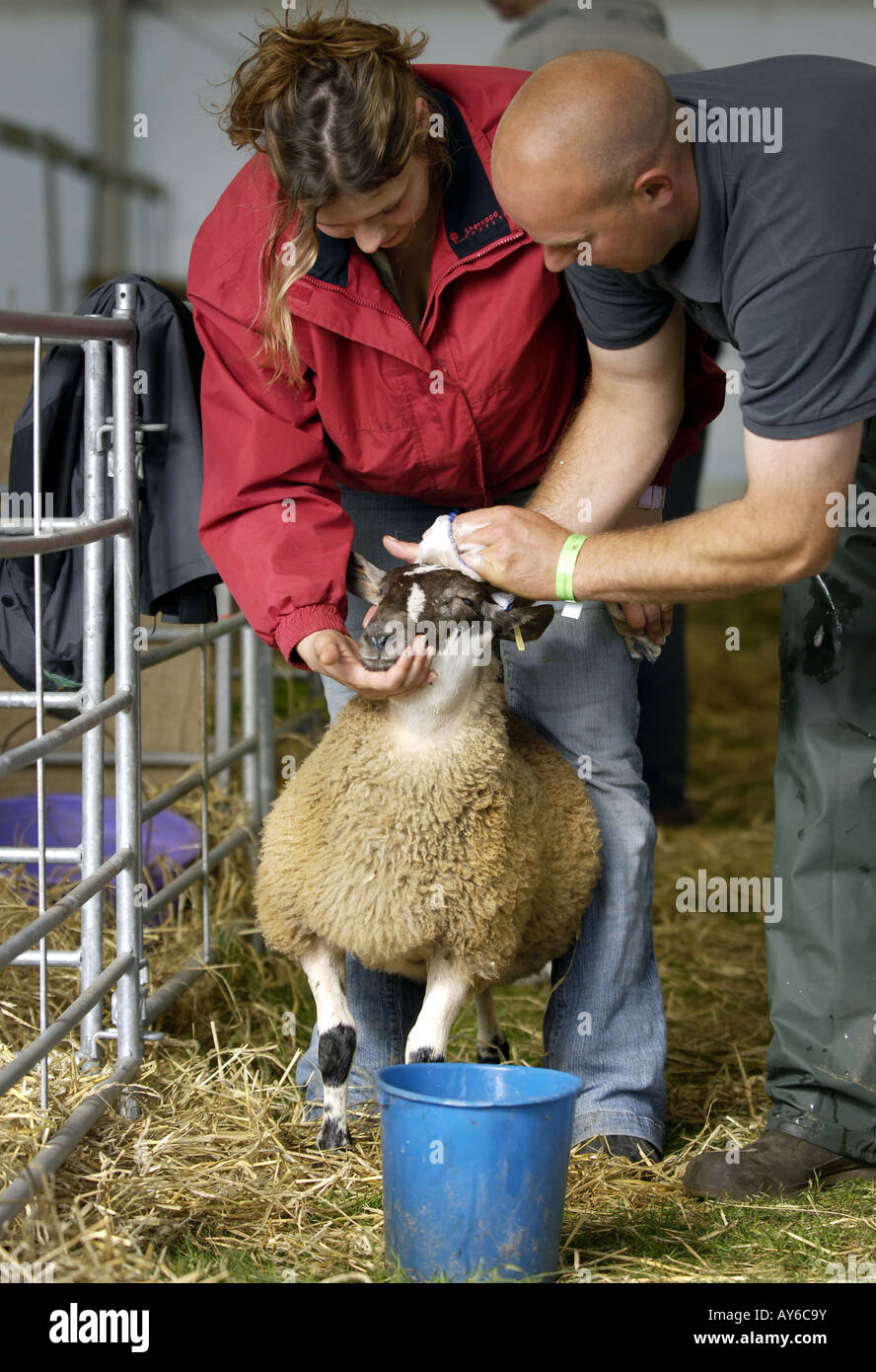Edinburgh ingliston showground -Fotos und -Bildmaterial in hoher ...