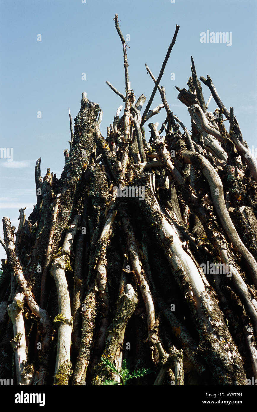 Zweige schneiden -Fotos und -Bildmaterial in hoher Auflösung – Alamy