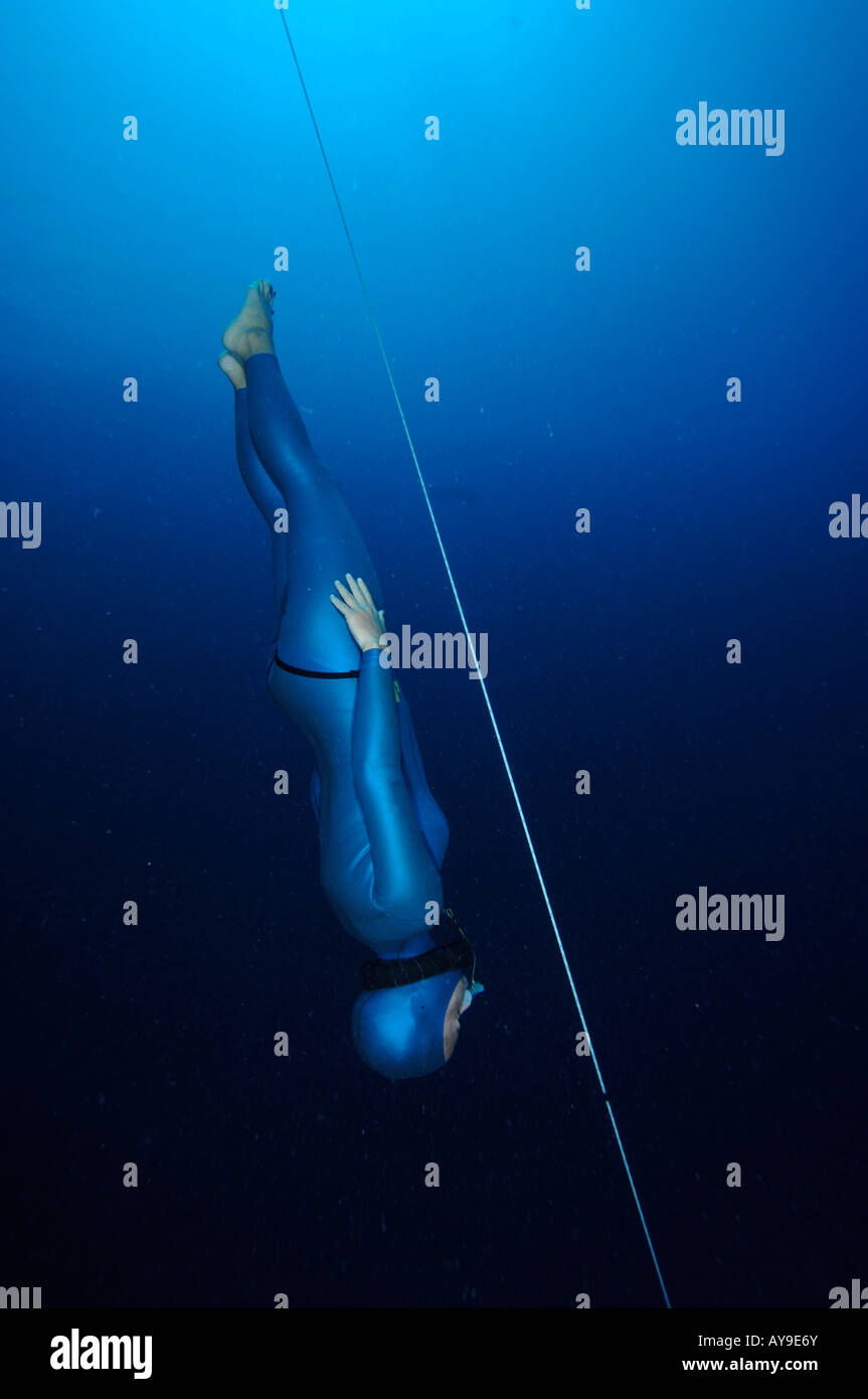 Freitauchen dahab -Fotos und -Bildmaterial in hoher Auflösung – Alamy