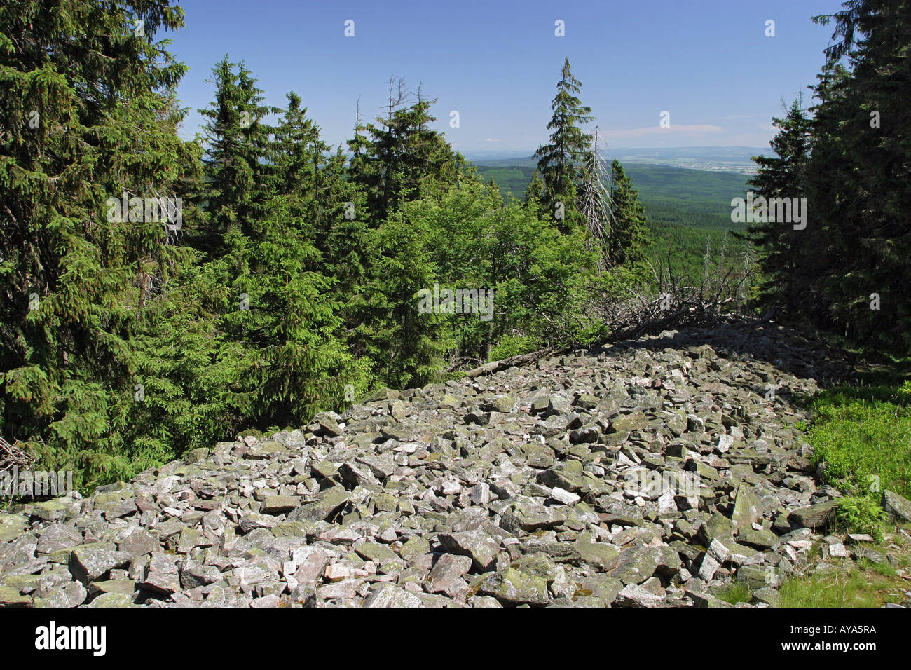 Celtic Germany Stockfotos und -bilder Kaufen - Alamy