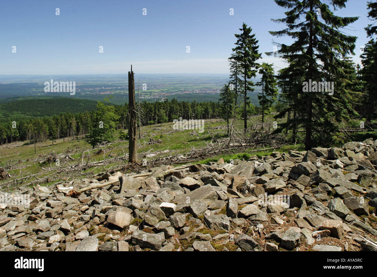 Celtic Germany Stockfotos und -bilder Kaufen - Alamy
