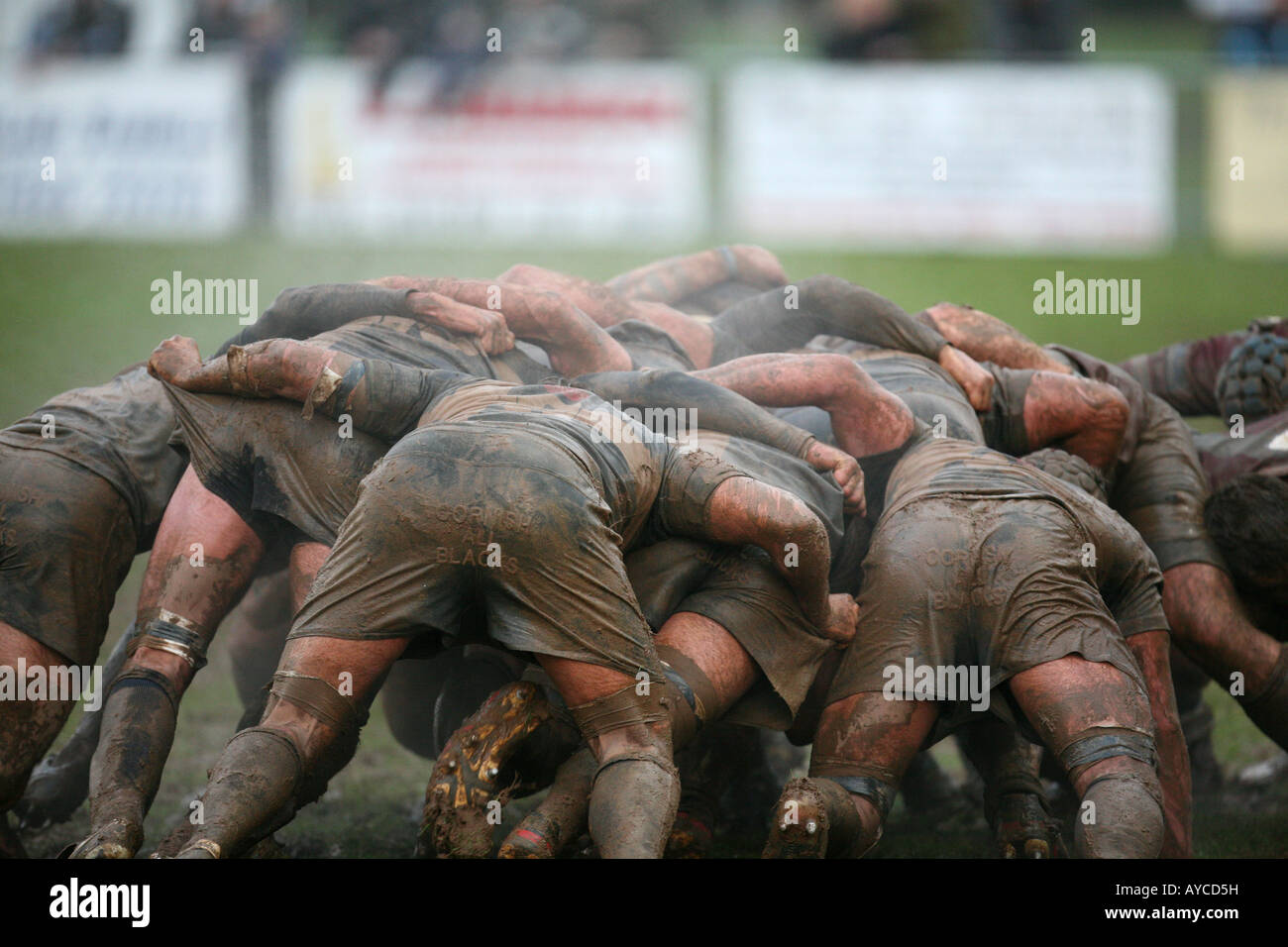 Rugby scrum all blacks -Fotos und -Bildmaterial in hoher Auflösung – Alamy