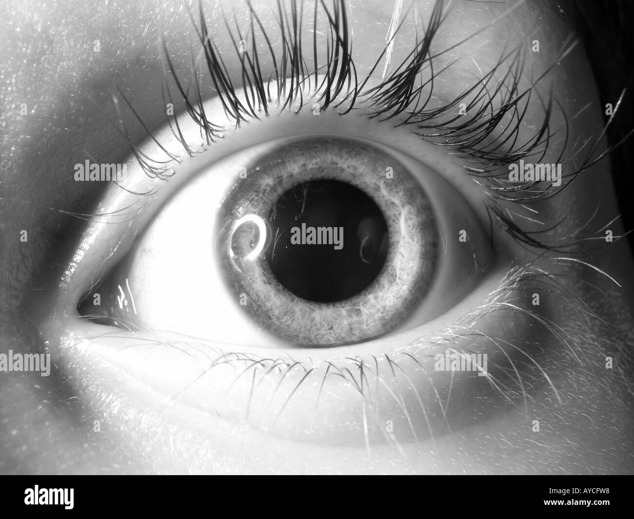 Erschrockenes auge -Fotos und -Bildmaterial in hoher Auflösung – Alamy