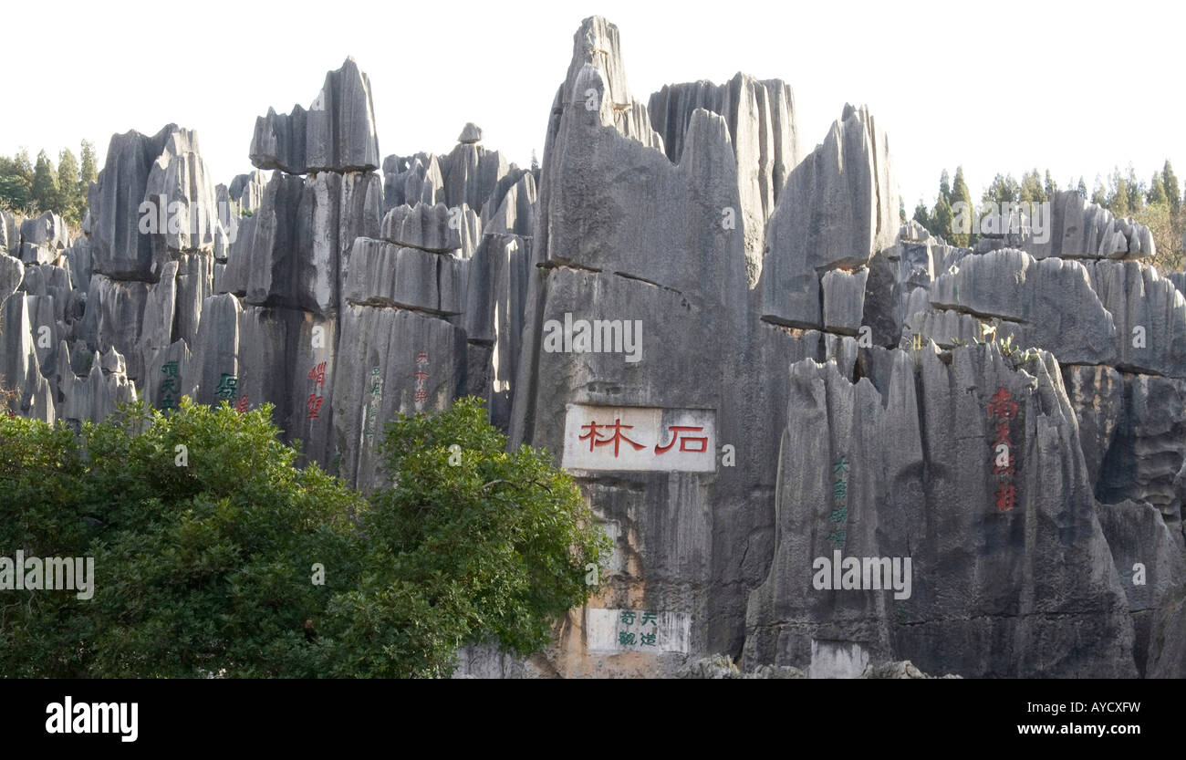 Komplizierte Bildung von Karst Topographie der Shilin Steinwald in ...