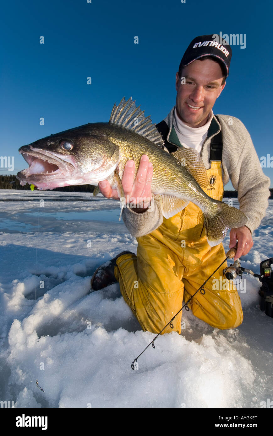 Eis-Fischer hält große Zander Stockfotografie - Alamy