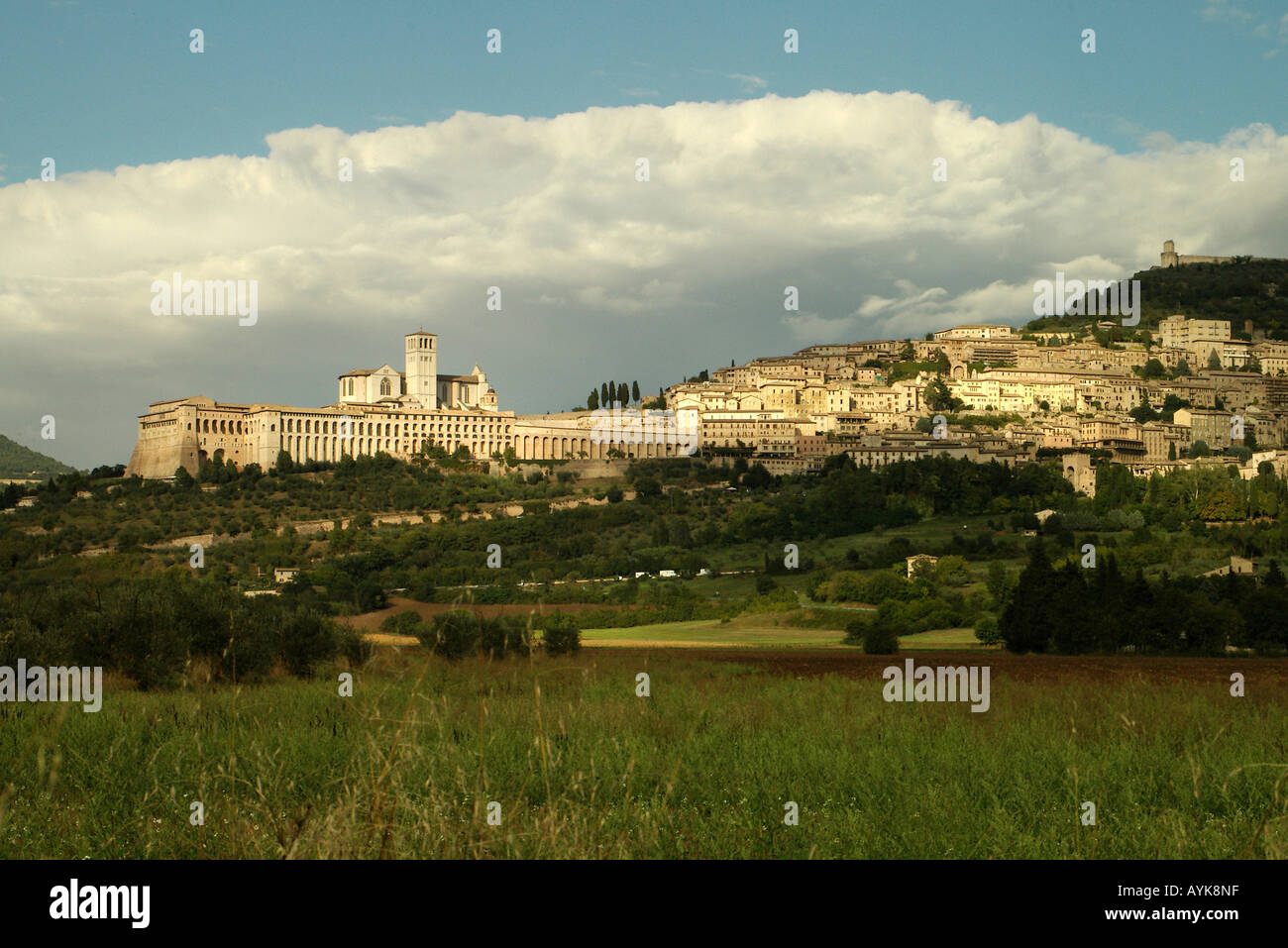 Franz von assisi und klara -Fotos und -Bildmaterial in hoher Auflösung ...
