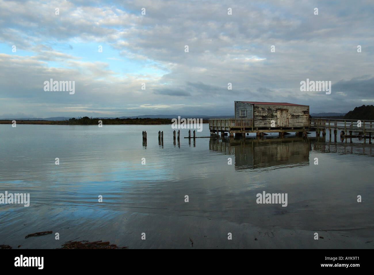 Maori okarito -Fotos und -Bildmaterial in hoher Auflösung – Alamy