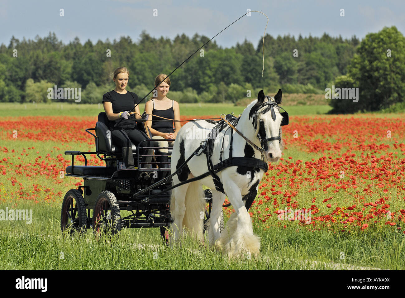 Zwei Mädchen in eine Kutsche ein Irish Tinker Stockfotografie - Alamy