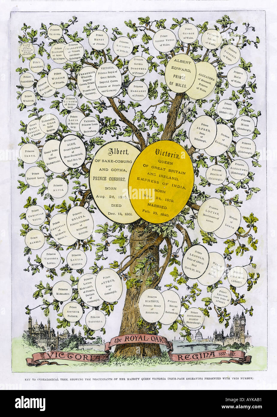 Stammbaum nachkommen -Fotos und -Bildmaterial in hoher Auflösung – Alamy