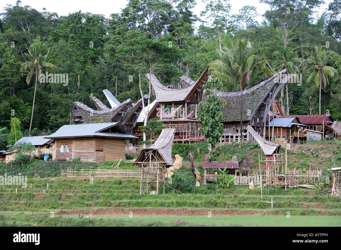 Sulawesi landscape -Fotos und -Bildmaterial in hoher Auflösung – Alamy