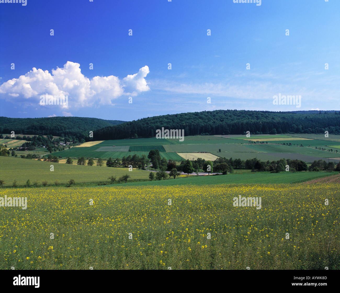 Idyllische Landschaft Im Naturpark Solling-Vogler, Schoenhagen ...