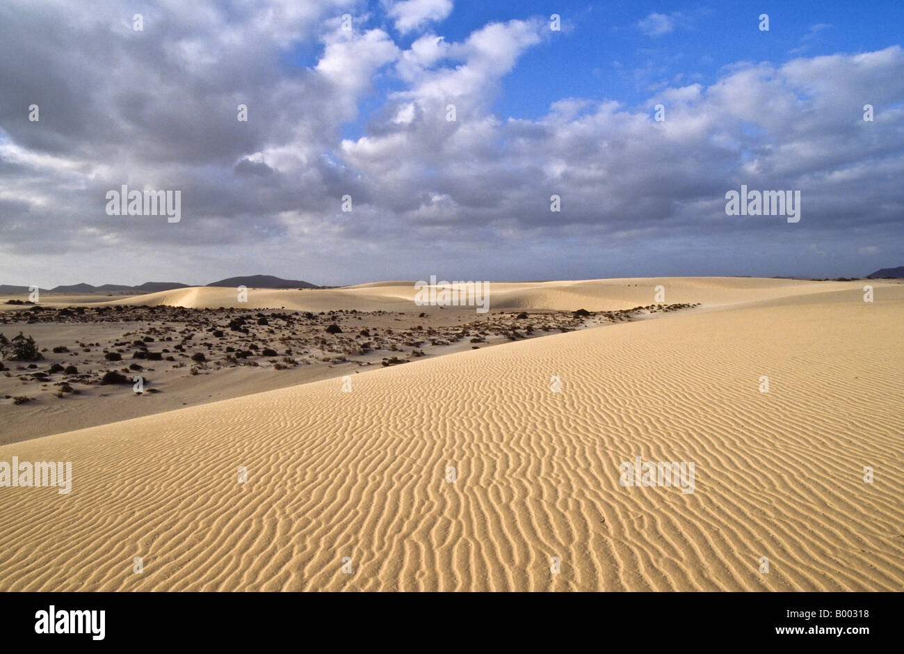 El jable -Fotos und -Bildmaterial in hoher Auflösung – Alamy