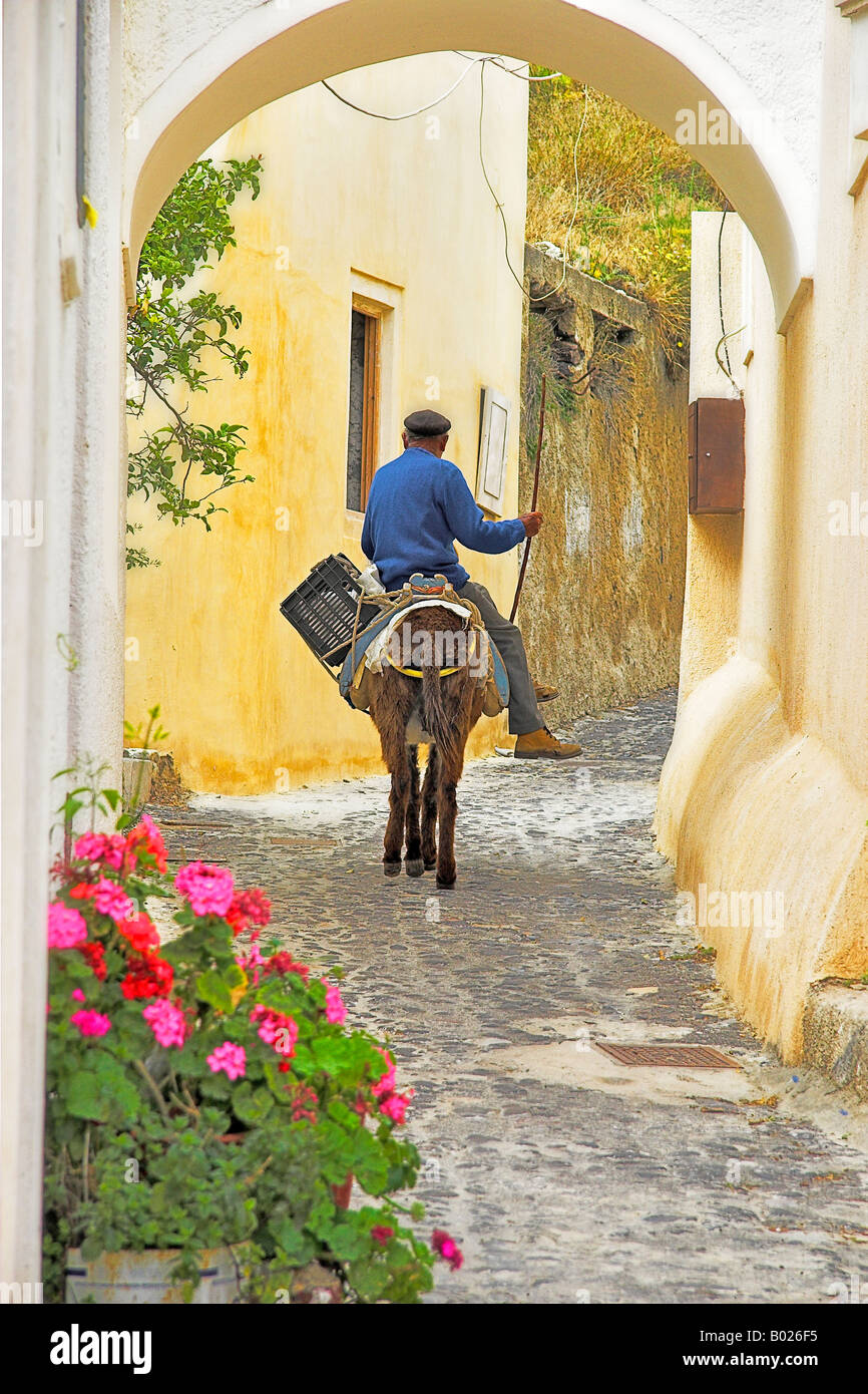 Esel esel -Fotos und -Bildmaterial in hoher Auflösung – Alamy